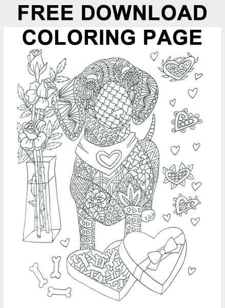 dachshund coloring book for adults