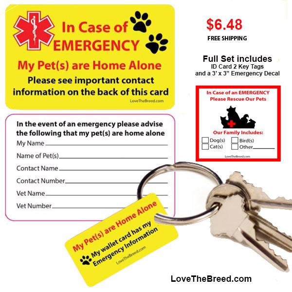 Emergency Pet Rescue Safety FULL SET Wallet Card, 2 Key Ring Tags Wind ...